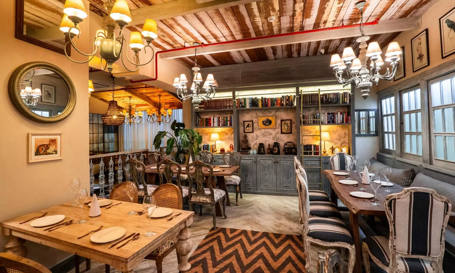 Don’t be shy, come say hi at Shy