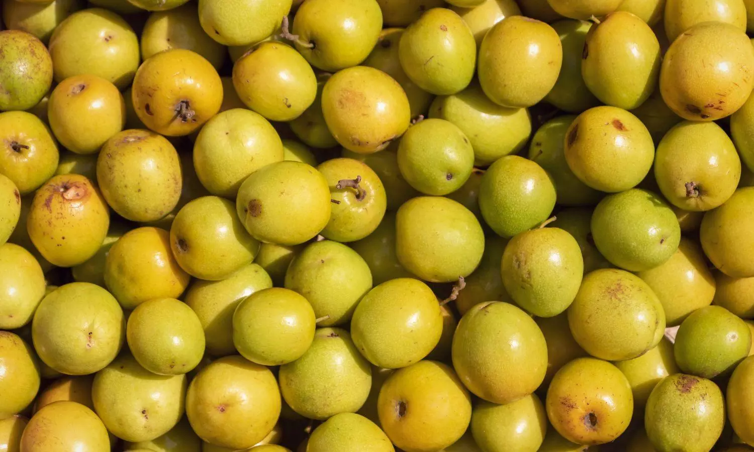 Know Your Ingredients: Ber (Indian Jujube)