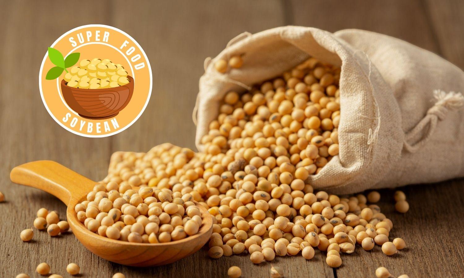 Soybean: The Superfood You’ve Been Overlooking (But Shouldn’t!)